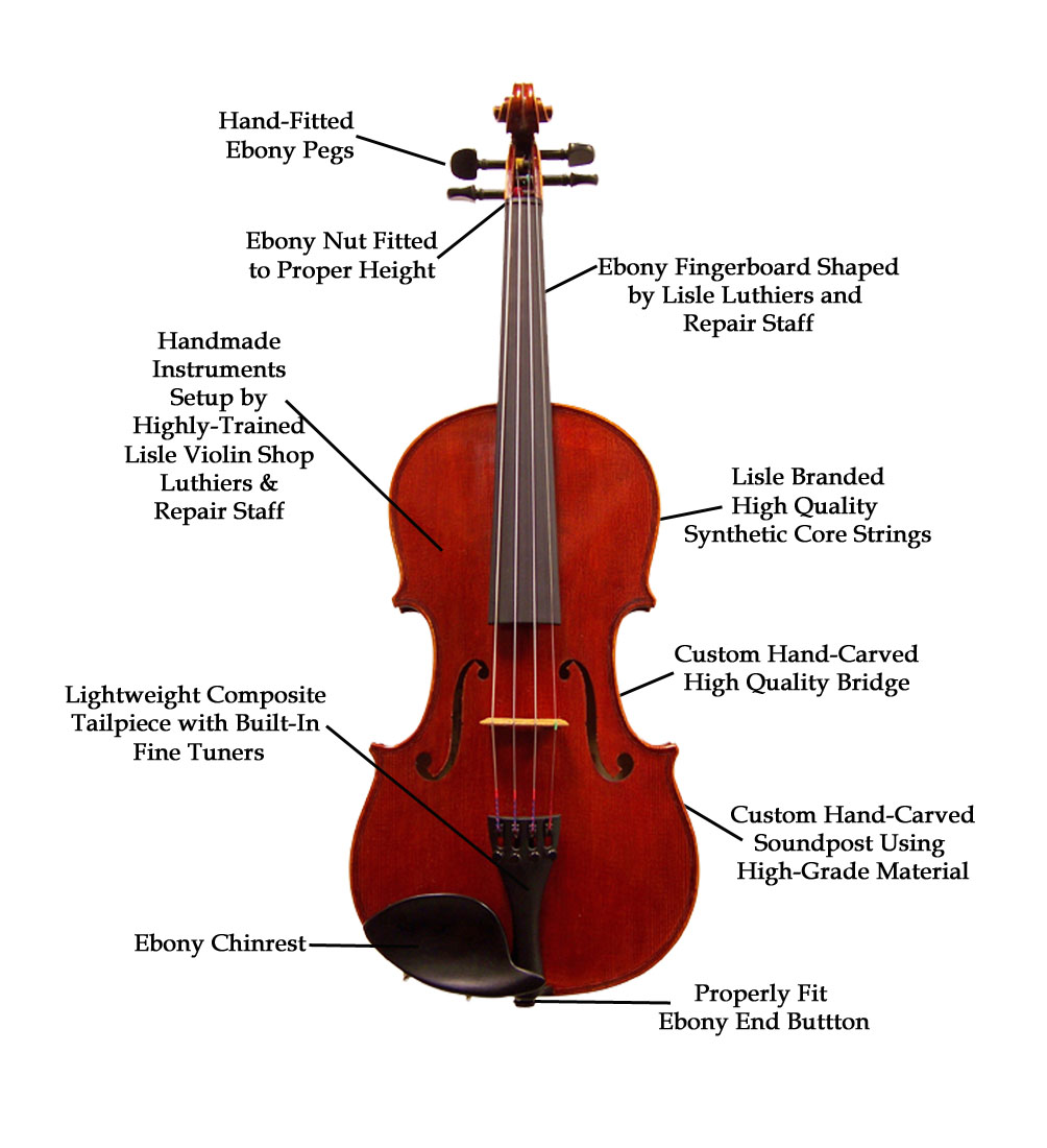 Violin Parts Diagram